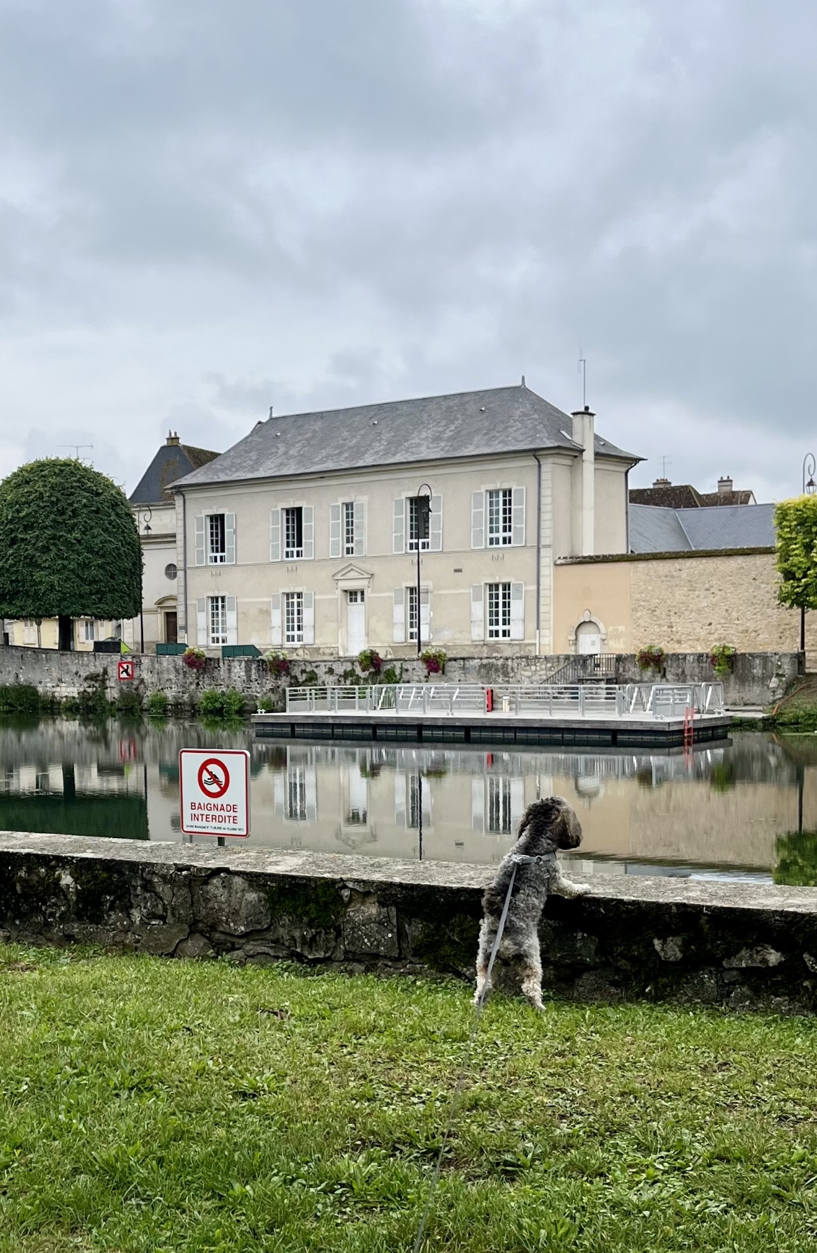 Reroute: belonging in new places | RestlessUrban